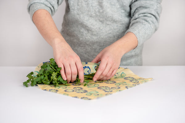 ENVUELBEE Y MAGIX WAX – Envuelbee